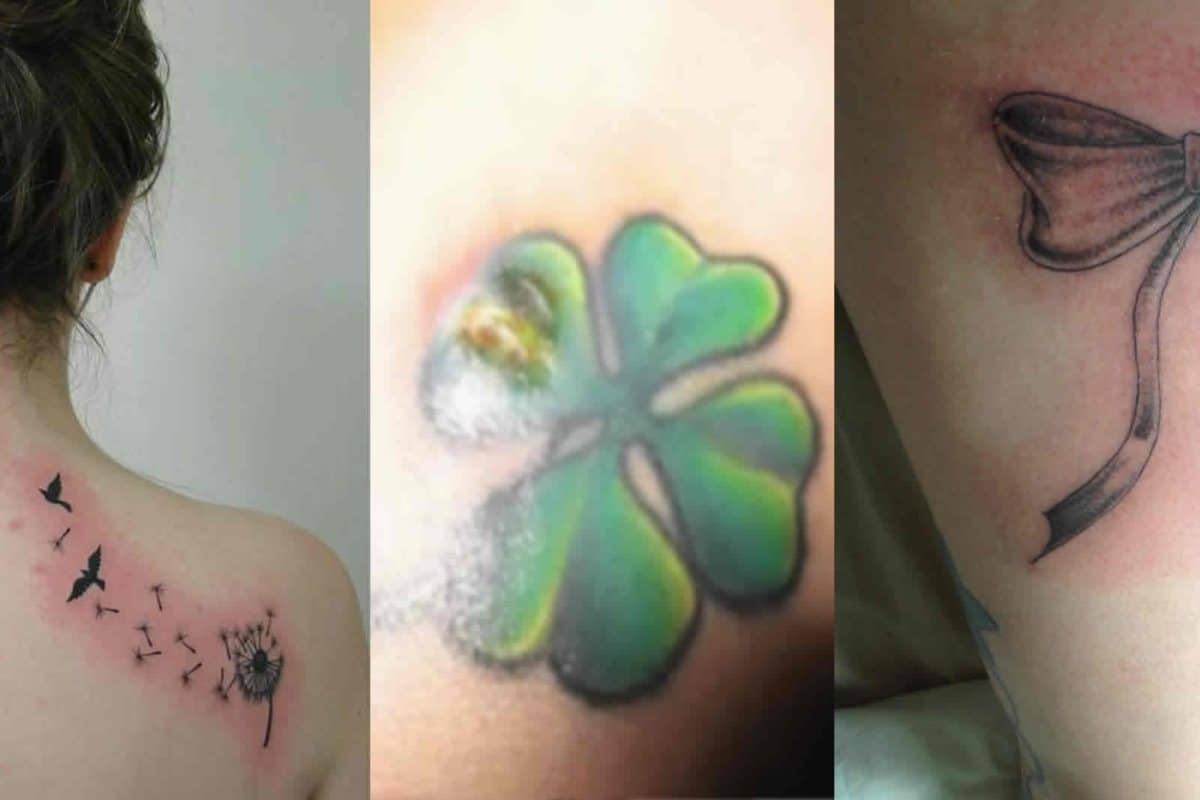 Cuidados - Tatoo And You